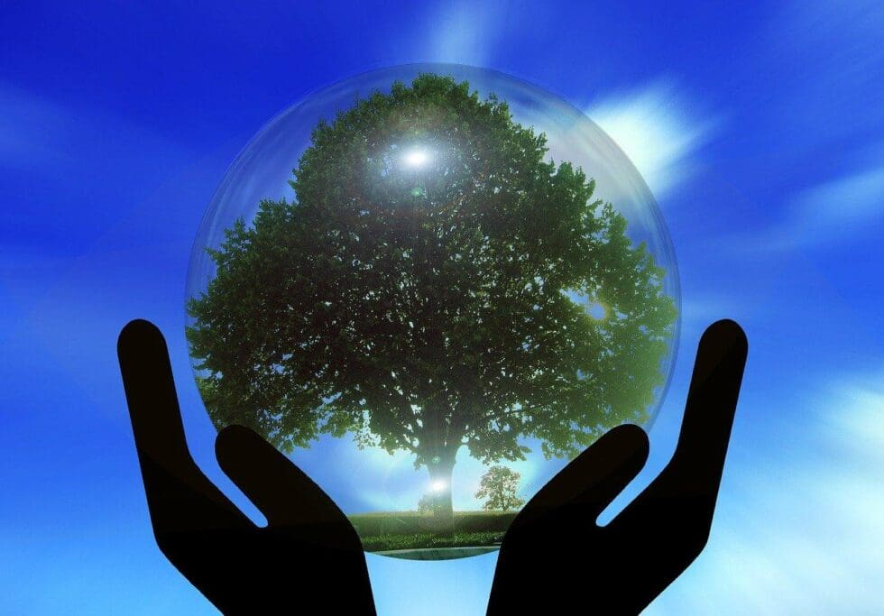 Changing the climate for climate change - National Council of Women