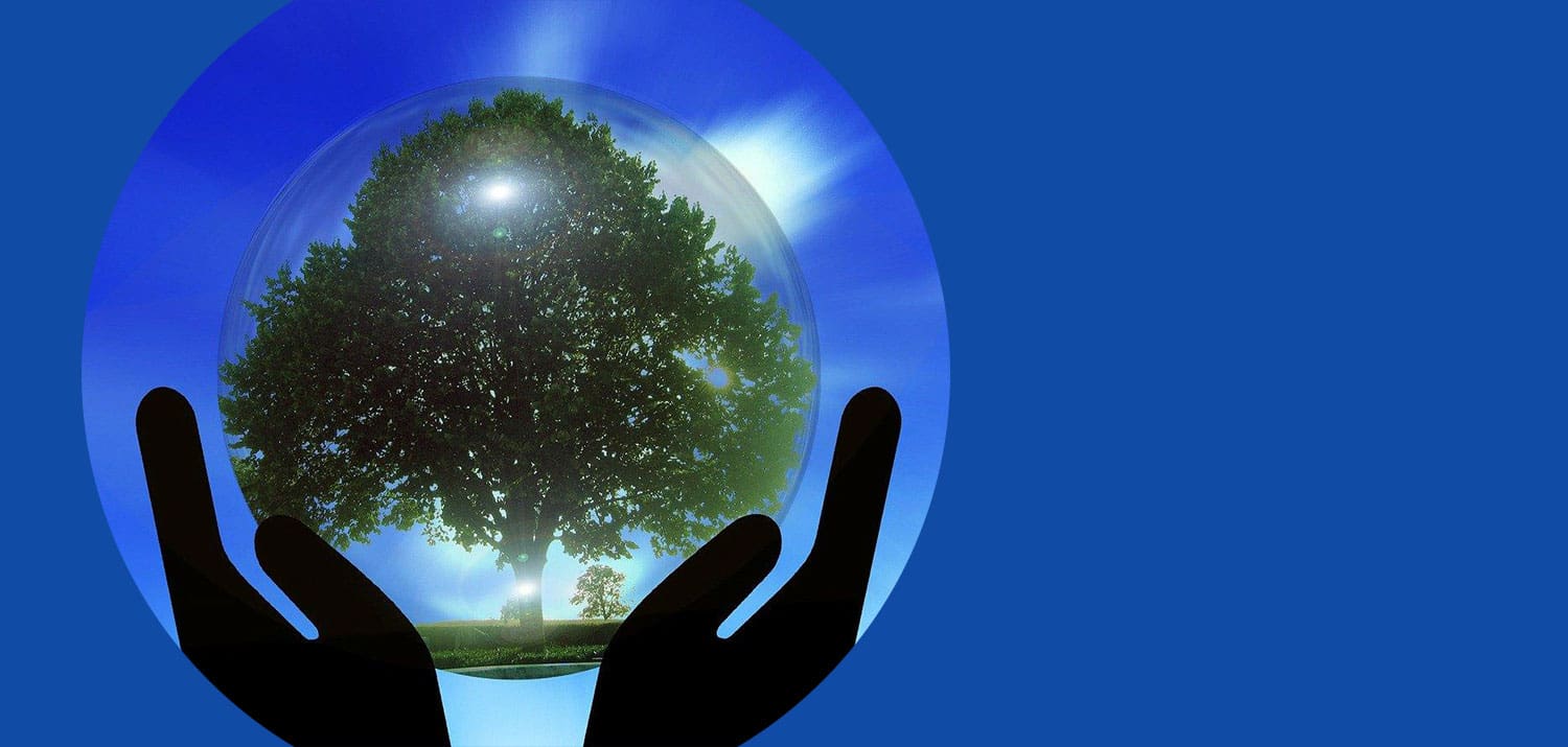 Women's Action in combatting climate change - National Council of Women